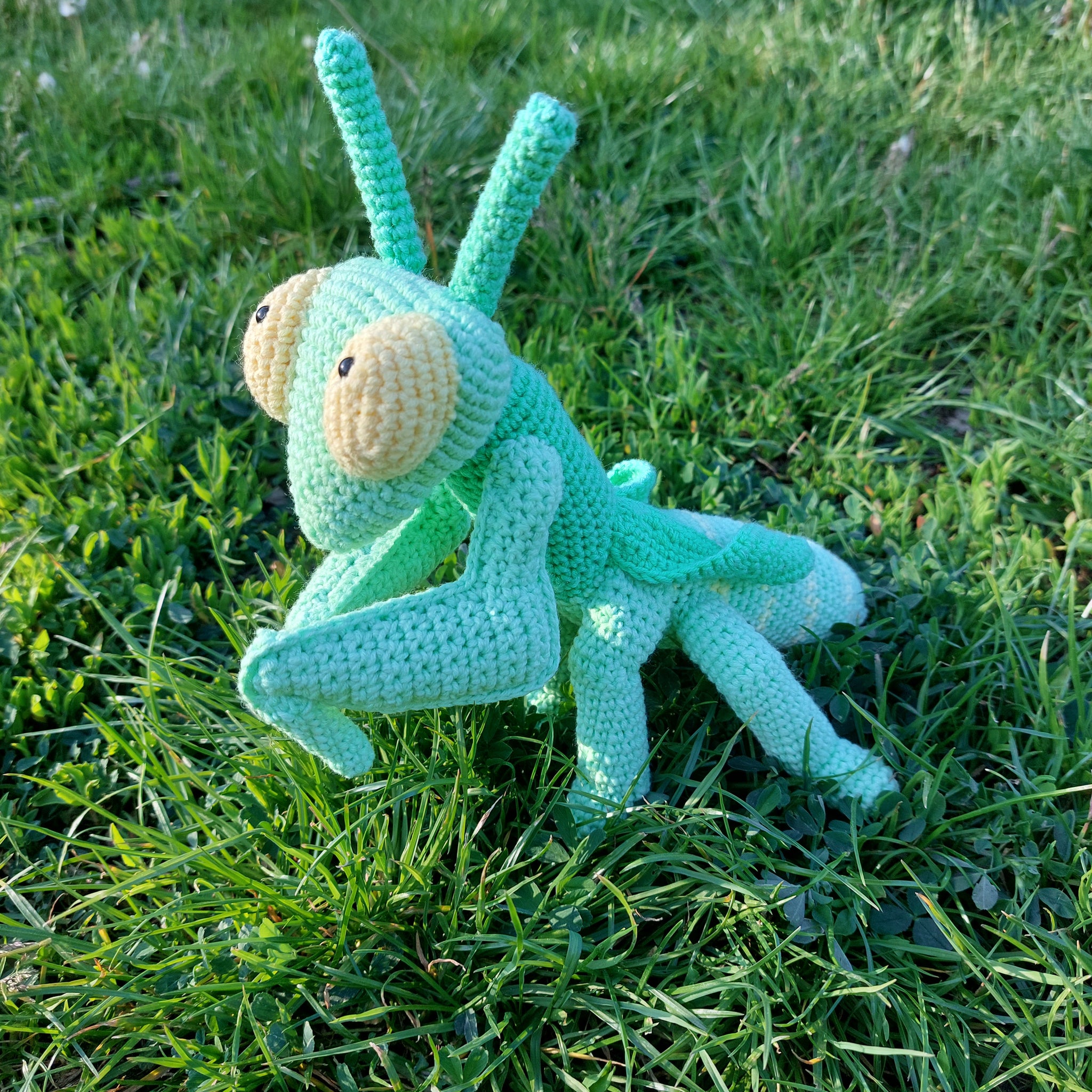 Praying Mantis Crochet Pattern, Amigurumi Praying Mantis Tutorial ...